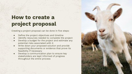 Sheep Farm Project Proposal Presentation