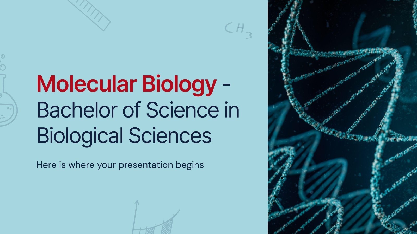 Molecular Biology - Bachelor in Biological Sciences