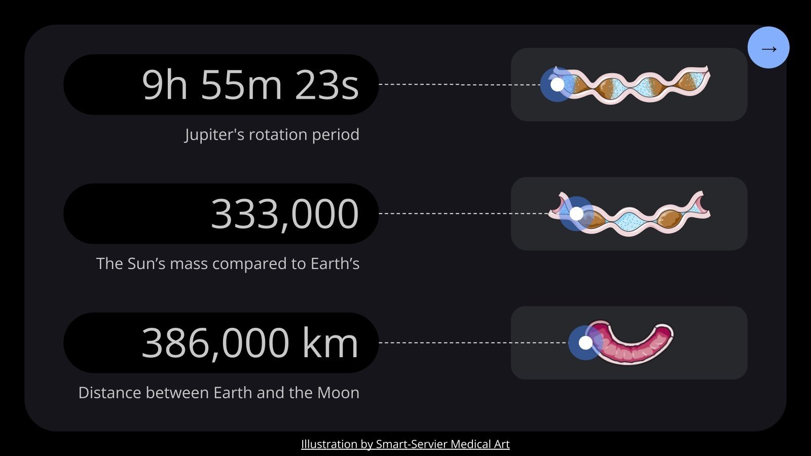 Digestive System Case Study Presentation