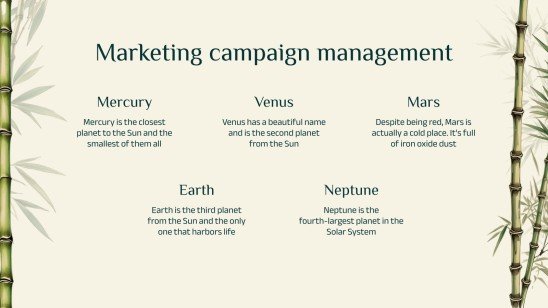 Bamboo Theme for Marketing Presentation