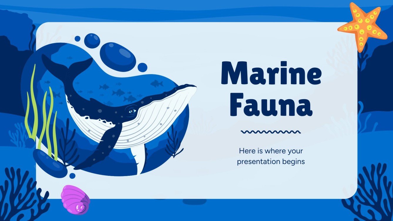 Marine Fauna Presentation