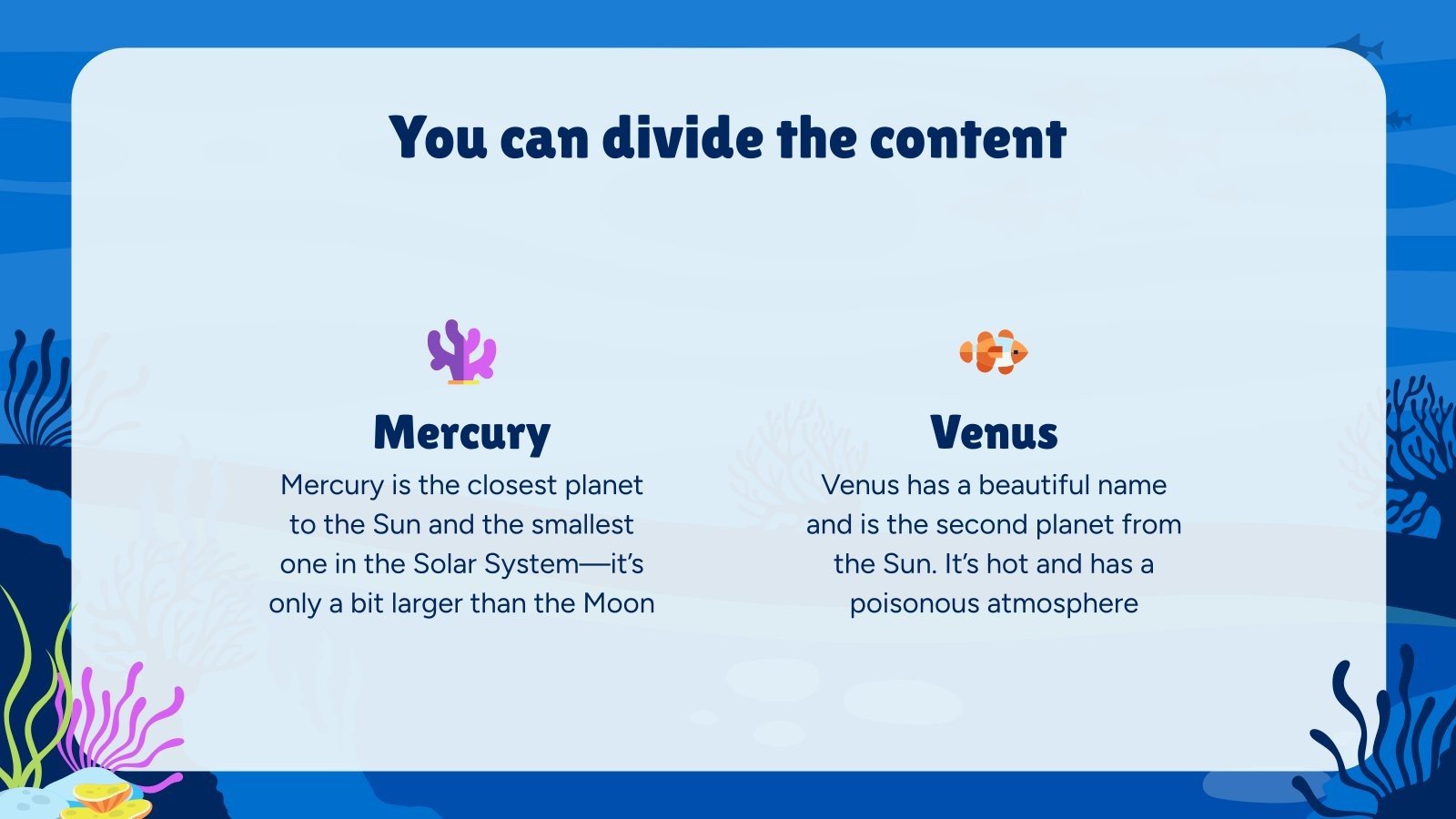 Marine Fauna Presentation