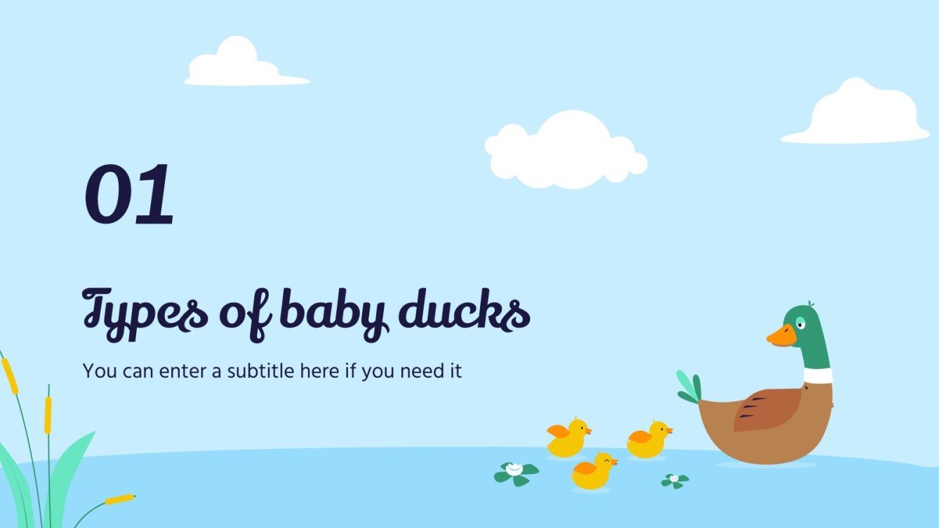 Baby Ducks Theme