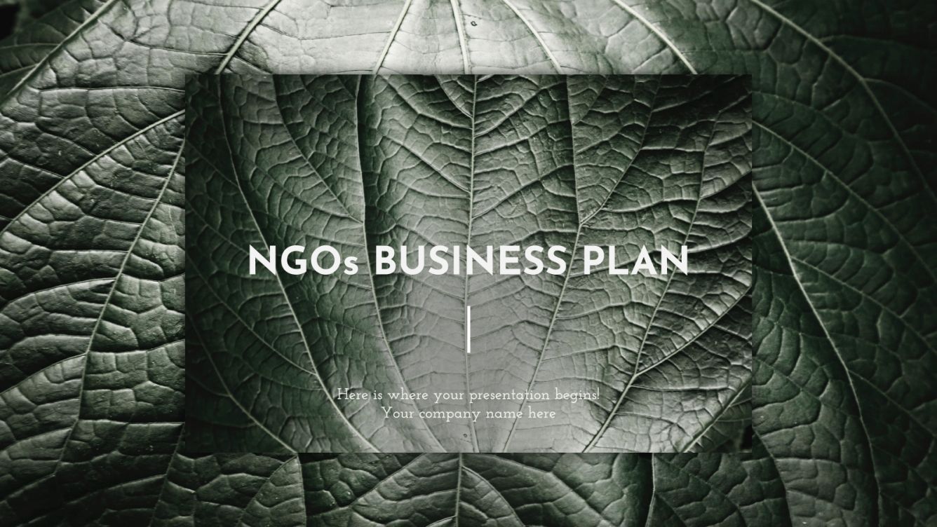 NGOs Business Plan Google Slides and PowerPoint Template
