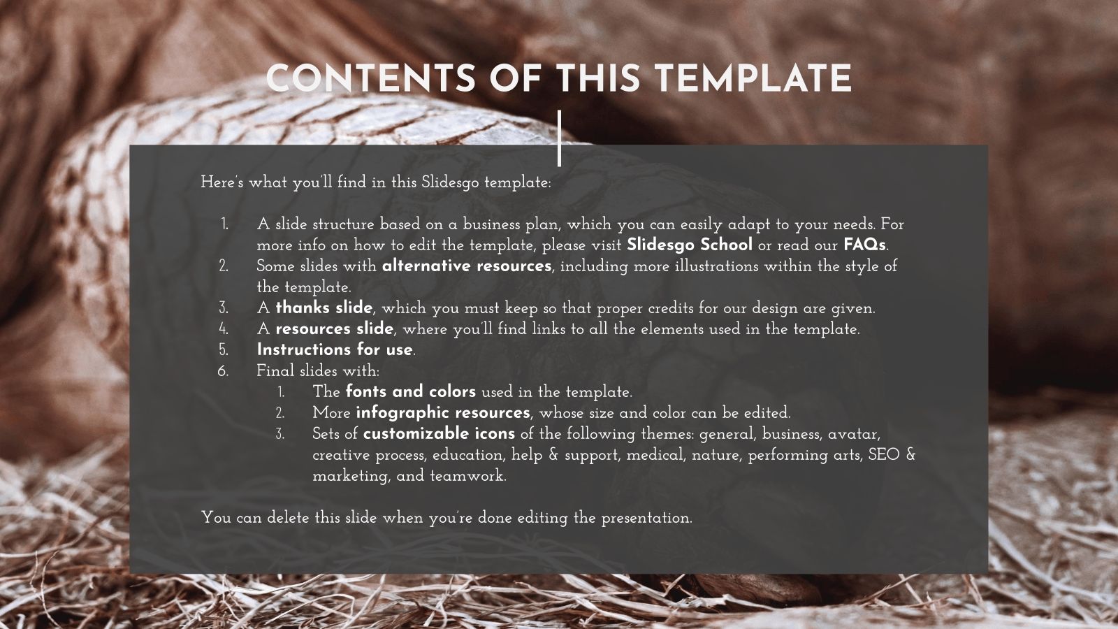 NGOs Business Plan Google Slides and PowerPoint Template