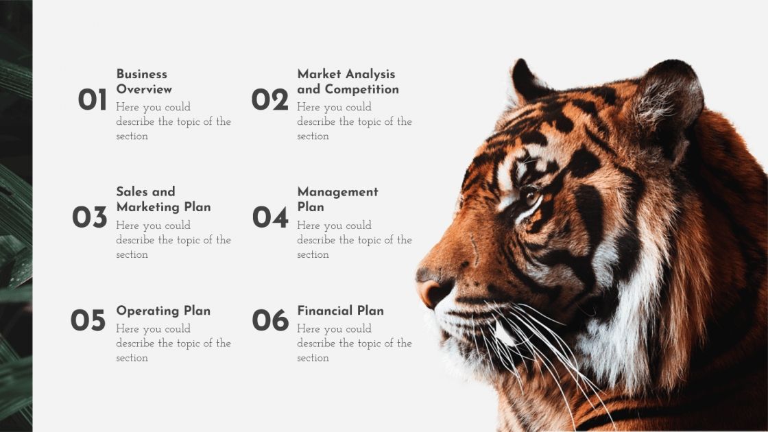 NGOs Business Plan Google Slides and PowerPoint Template