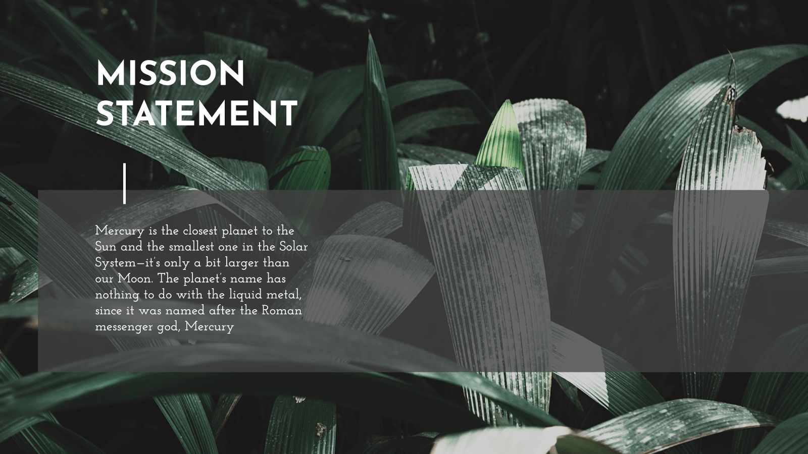 NGOs Business Plan Google Slides and PowerPoint Template