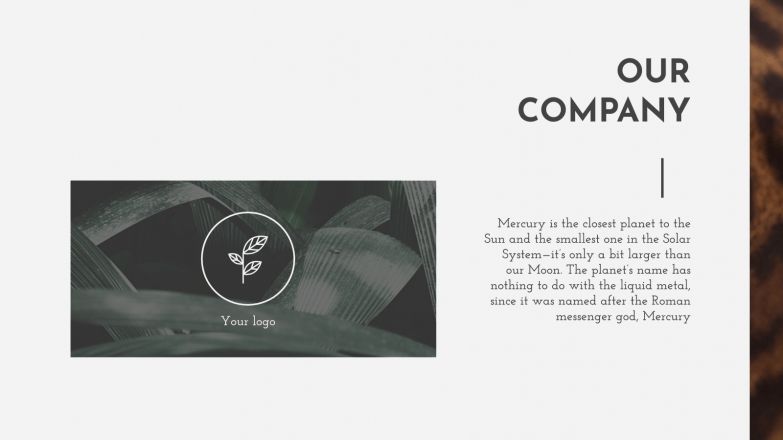 NGOs Business Plan Google Slides and PowerPoint Template