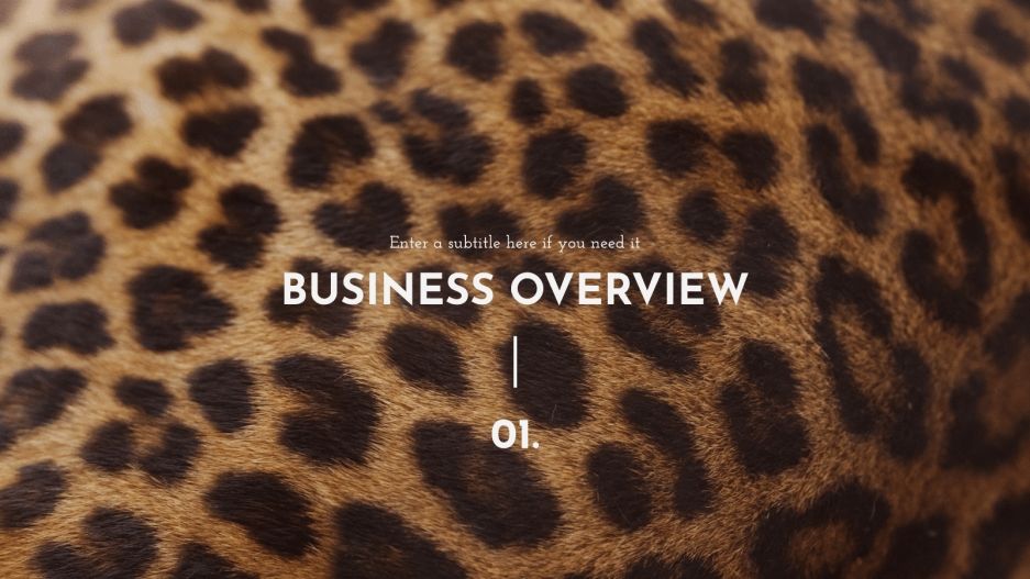 NGOs Business Plan Google Slides and PowerPoint Template