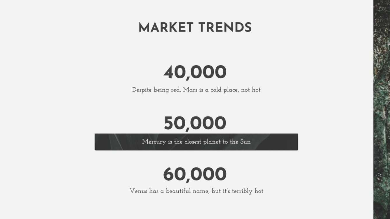 NGOs Business Plan Google Slides and PowerPoint Template