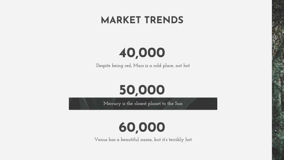 NGOs Business Plan Google Slides and PowerPoint Template