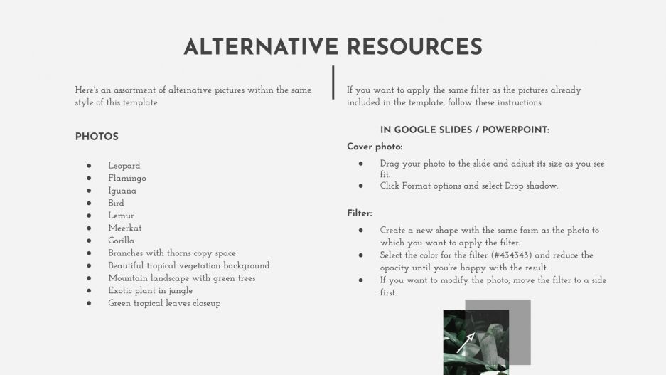 Plan de negocios para ONG | Plantilla de Google Slides y PPT