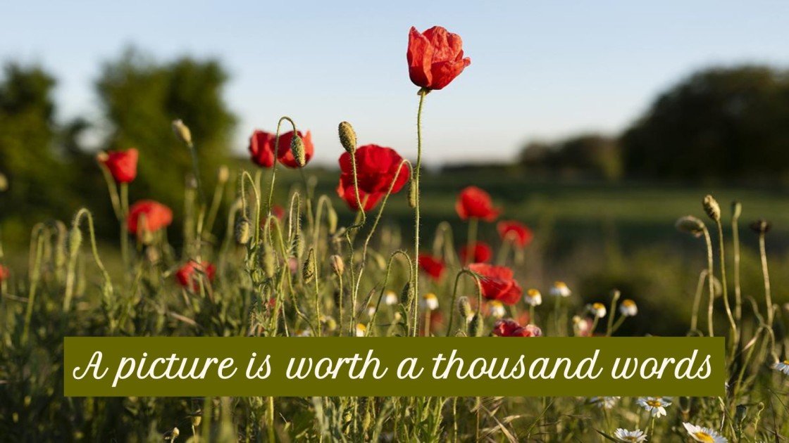 Cottagecore Aesthetic Design Inspiration Presentation