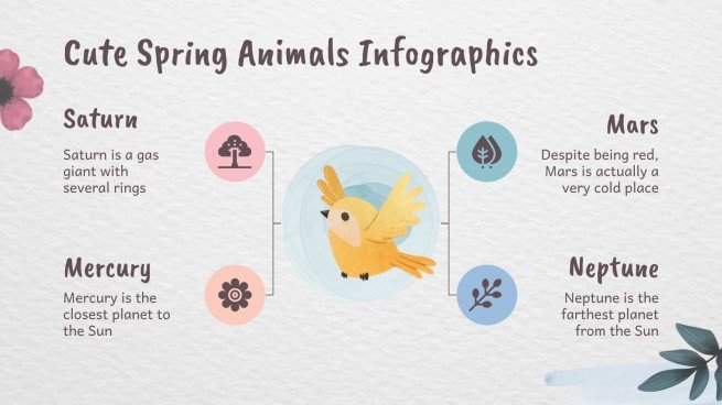 Cute Spring Animals Infographics
