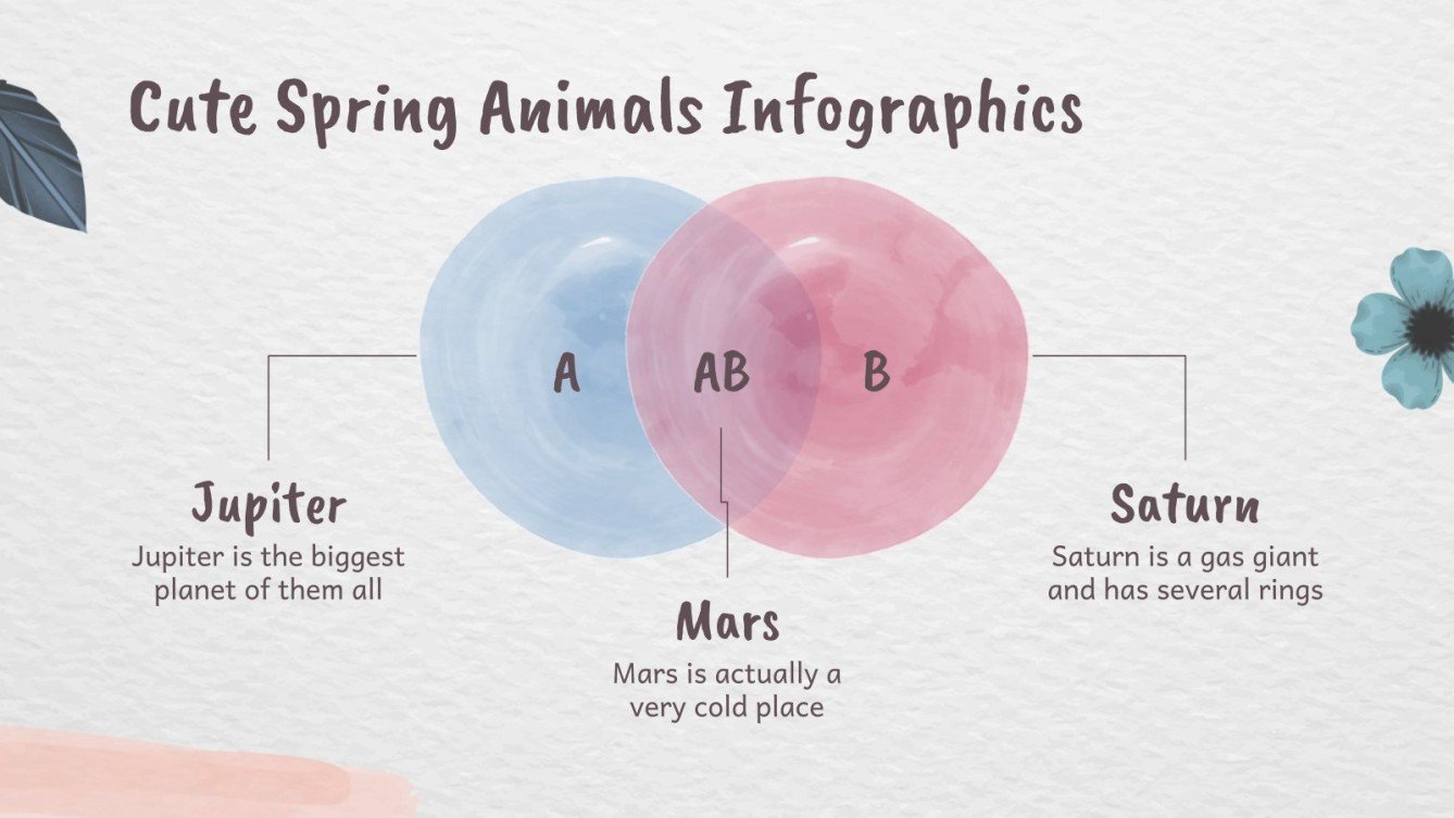 Cute Spring Animals Infographics