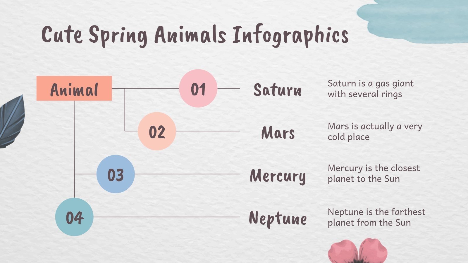 Cute Spring Animals Infographics