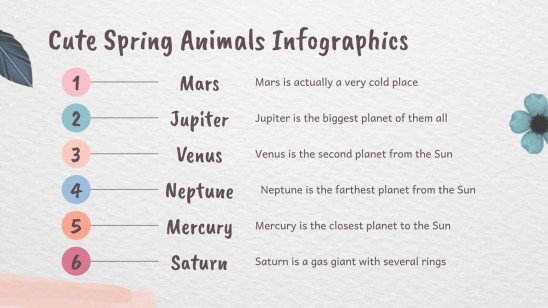 Cute Spring Animals Infographics