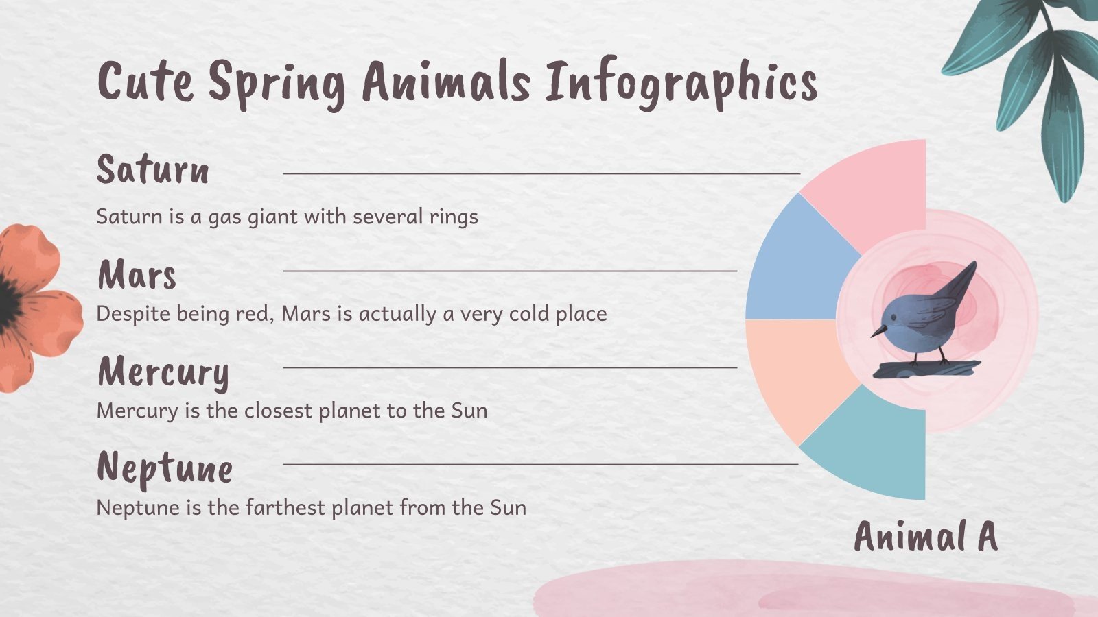 Cute Spring Animals Infographics