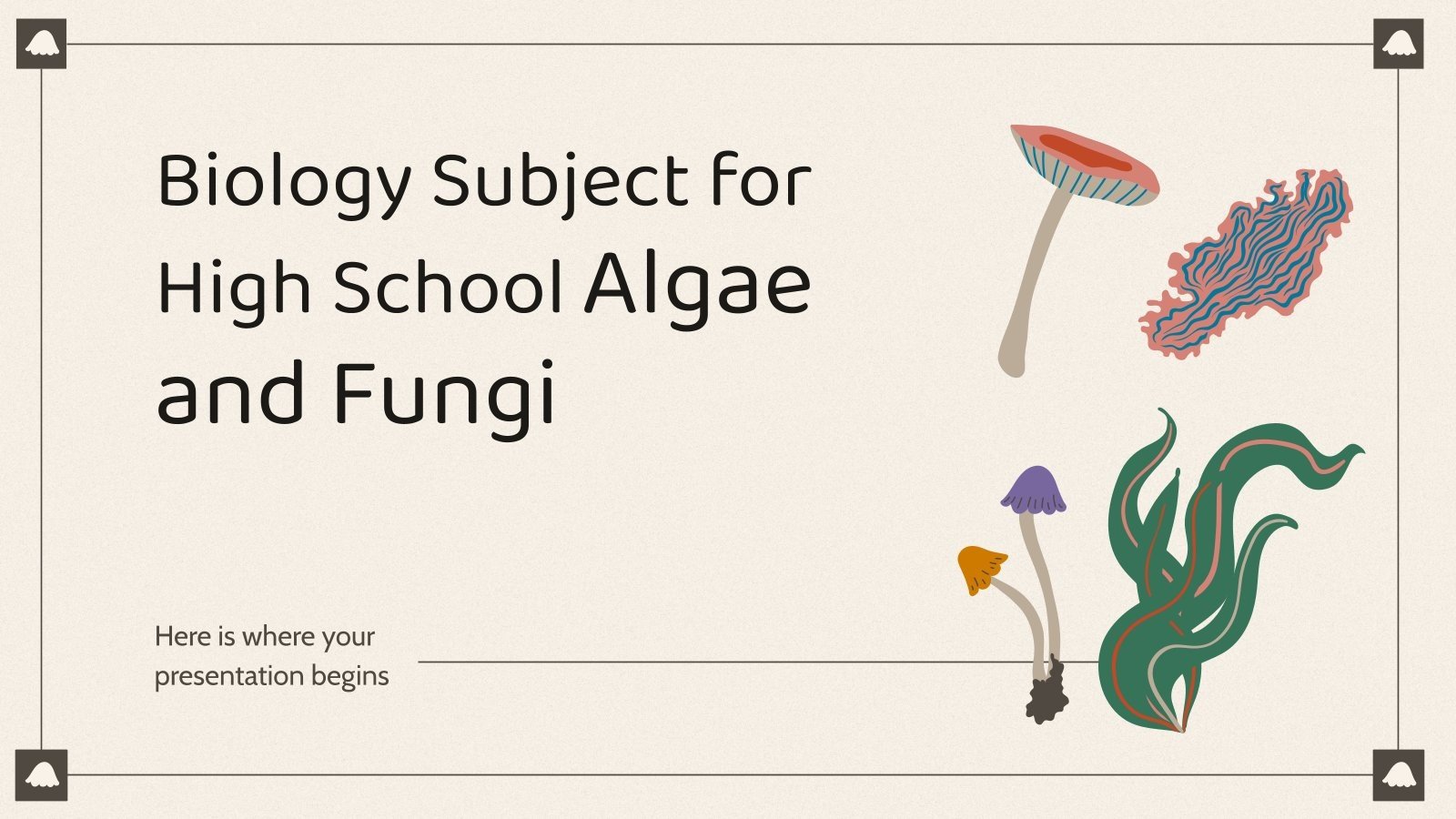 Biology Subject for High School: Algae and Fungi