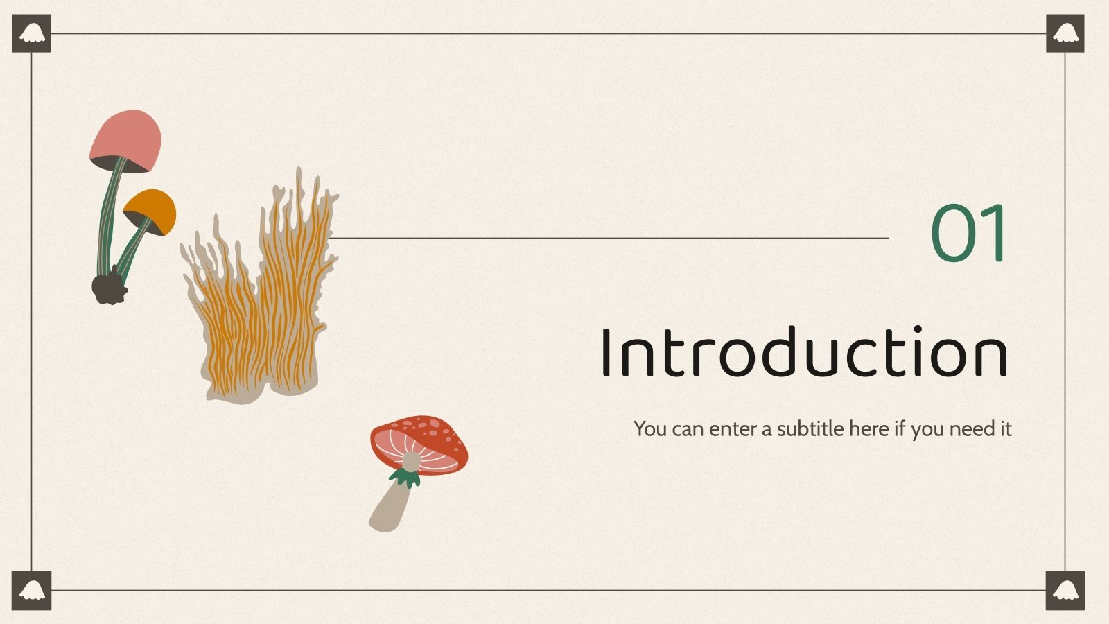 Biology Subject for High School: Algae and Fungi