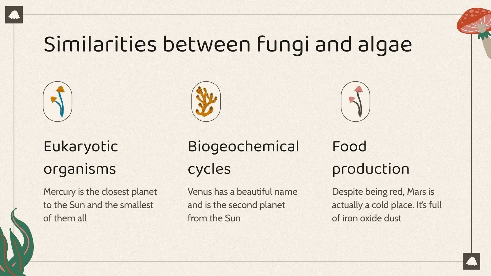 Biology Subject for High School: Algae and Fungi