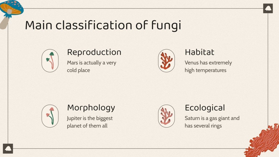 Biology Subject for High School: Algae and Fungi