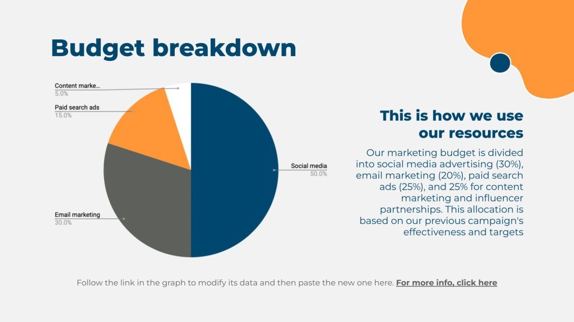 Spring Cleaning Products Campaign Presentation