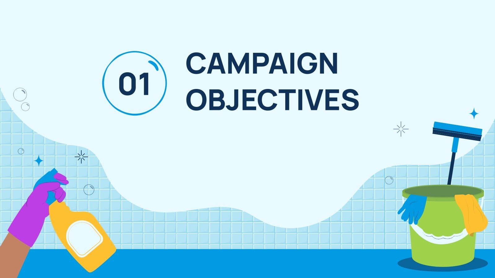Spring Cleaning Products Campaign Presentation