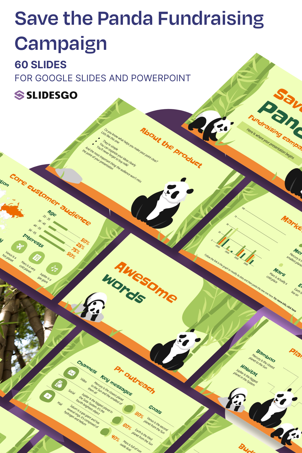 Save the Panda Fundraising Campaign