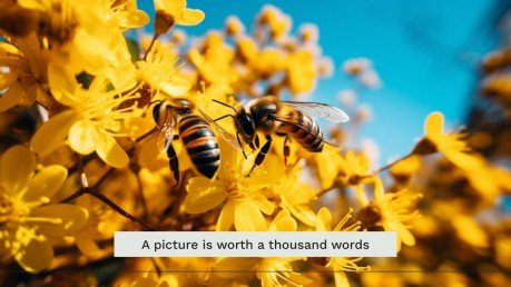 Bee Pollination Services Company Profile Presentation