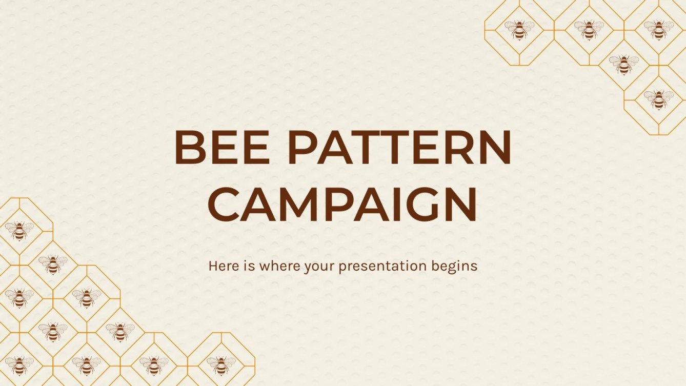 Bee Pattern Campaign Presentation