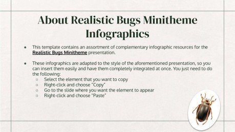 Realistic Bugs Minitheme Infographics Template