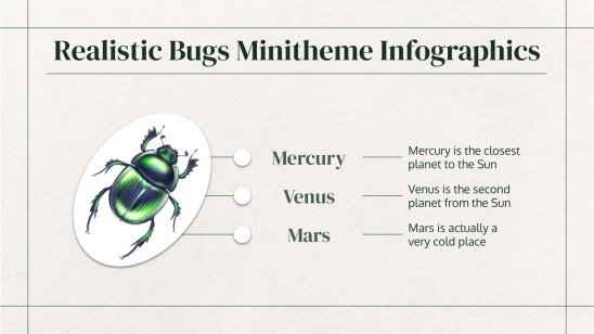 Realistic Bugs Minitheme Infographics Template
