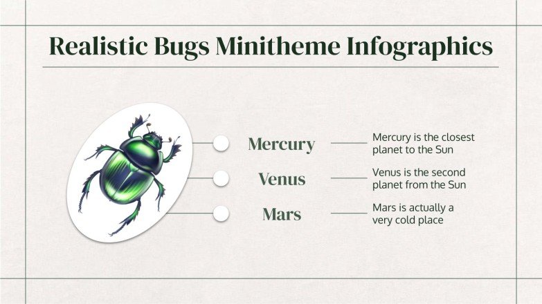 Realistic Bugs Minitheme Infographics Template
