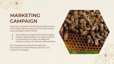 Bee Pattern Campaign Presentation