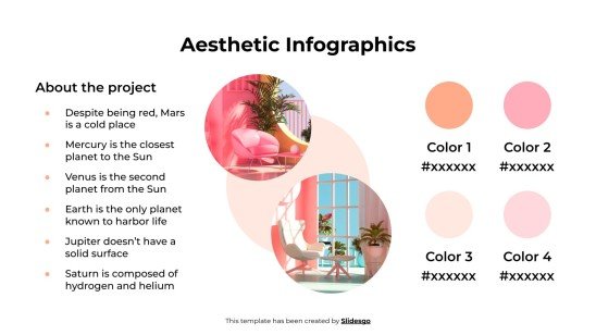 Aesthetic Infographics Template