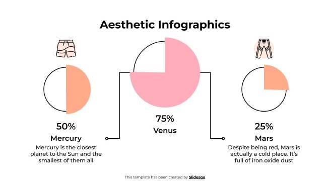 Aesthetic Infographics Template