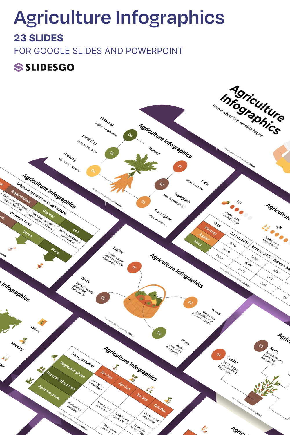 Agriculture Infographics Template