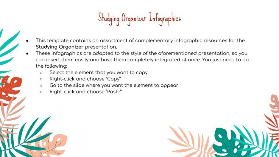 Studying Organizer Infographics | Google Slides & PPT template