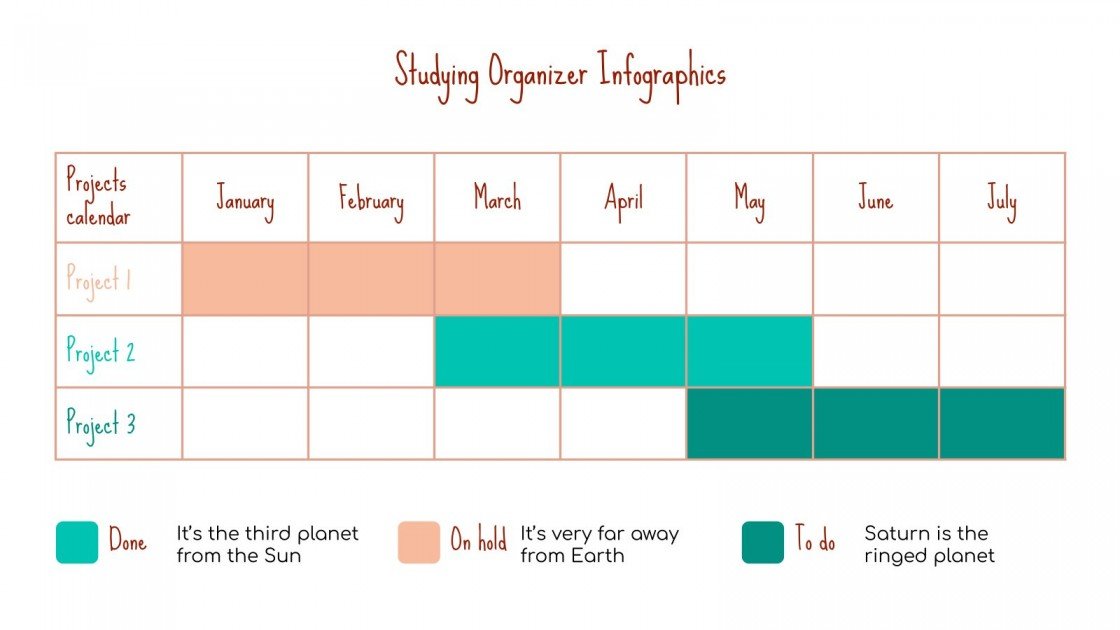 Studying Organizer Infographics | Google Slides & PPT template