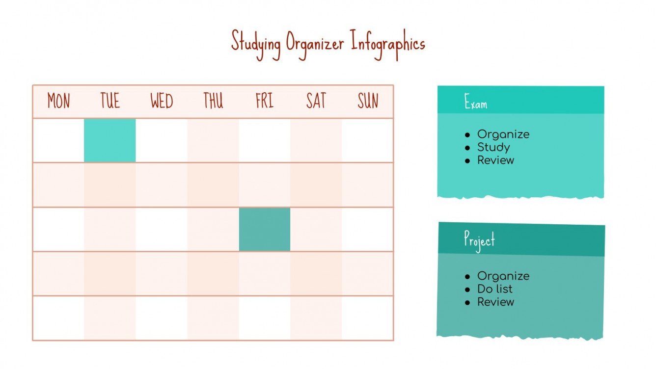 Studying Organizer Infographics | Google Slides & PPT template