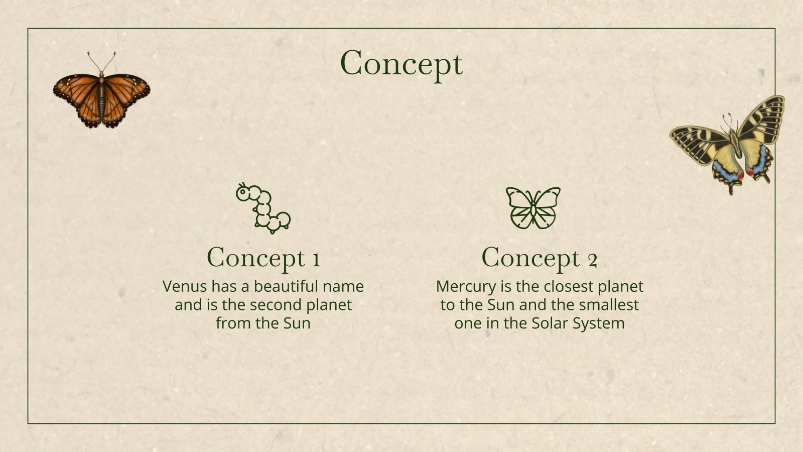 Butterfly Anatomy Workshop | Google Slides & PPT theme