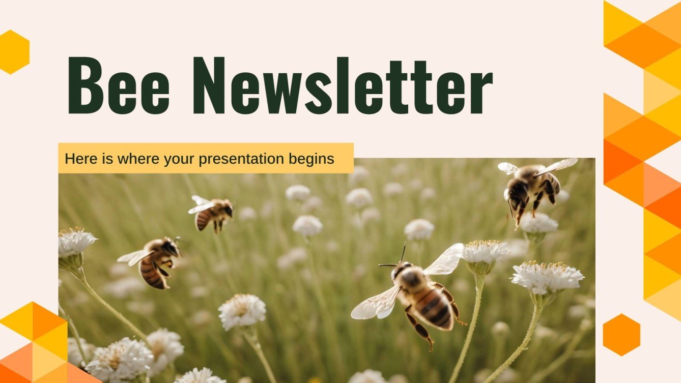 Bee Newsletter Presentation