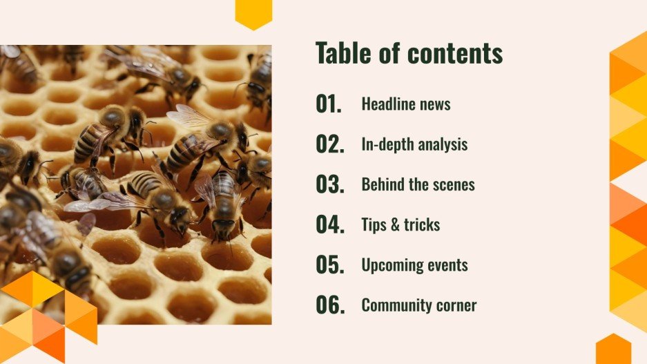 Bee Newsletter Presentation
