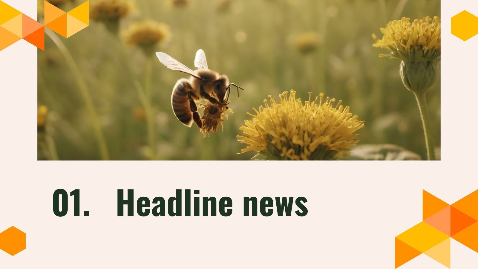 Bee Newsletter Presentation