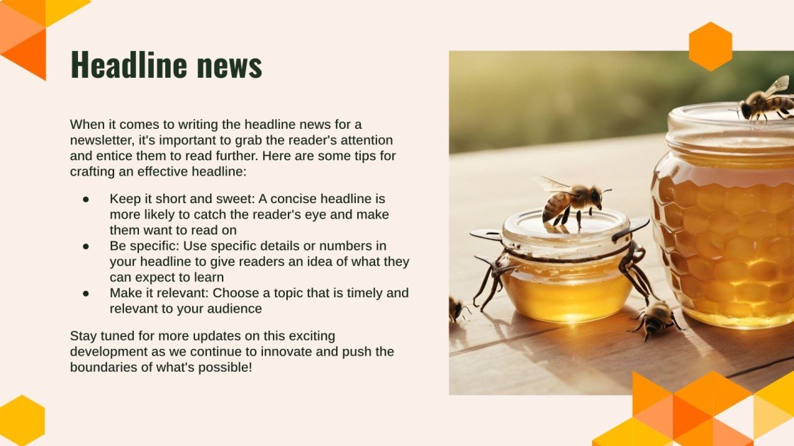 Bee Newsletter Presentation