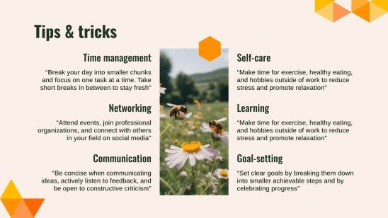 Bee Newsletter Presentation