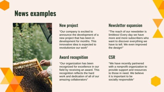 Bee Newsletter Presentation