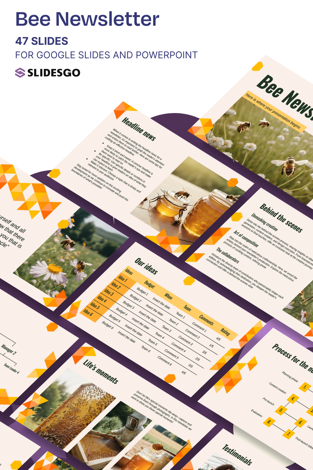 Bee Newsletter Presentation