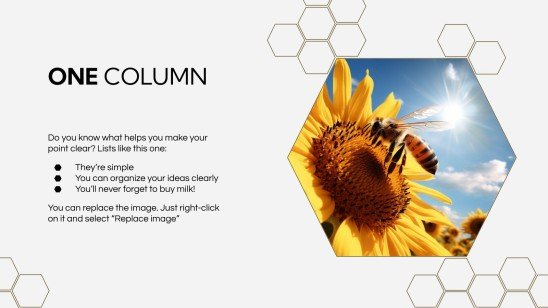 Bee Pollination Services Company Profile Presentation